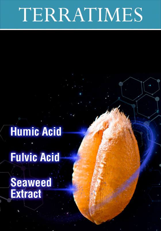 BIO-active seed treatment