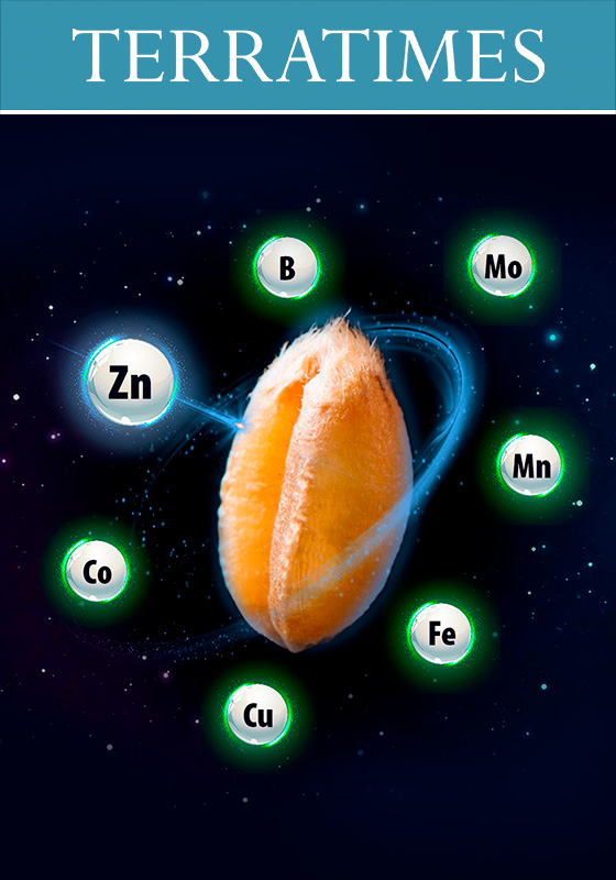 Micronutrients for seeds