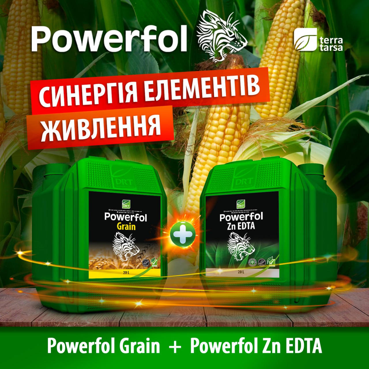 The synergy of elements