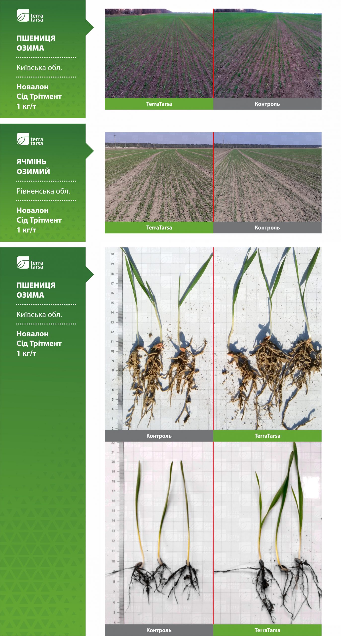 Novalon Seed Treatment - the guarantee of a successful harvest!