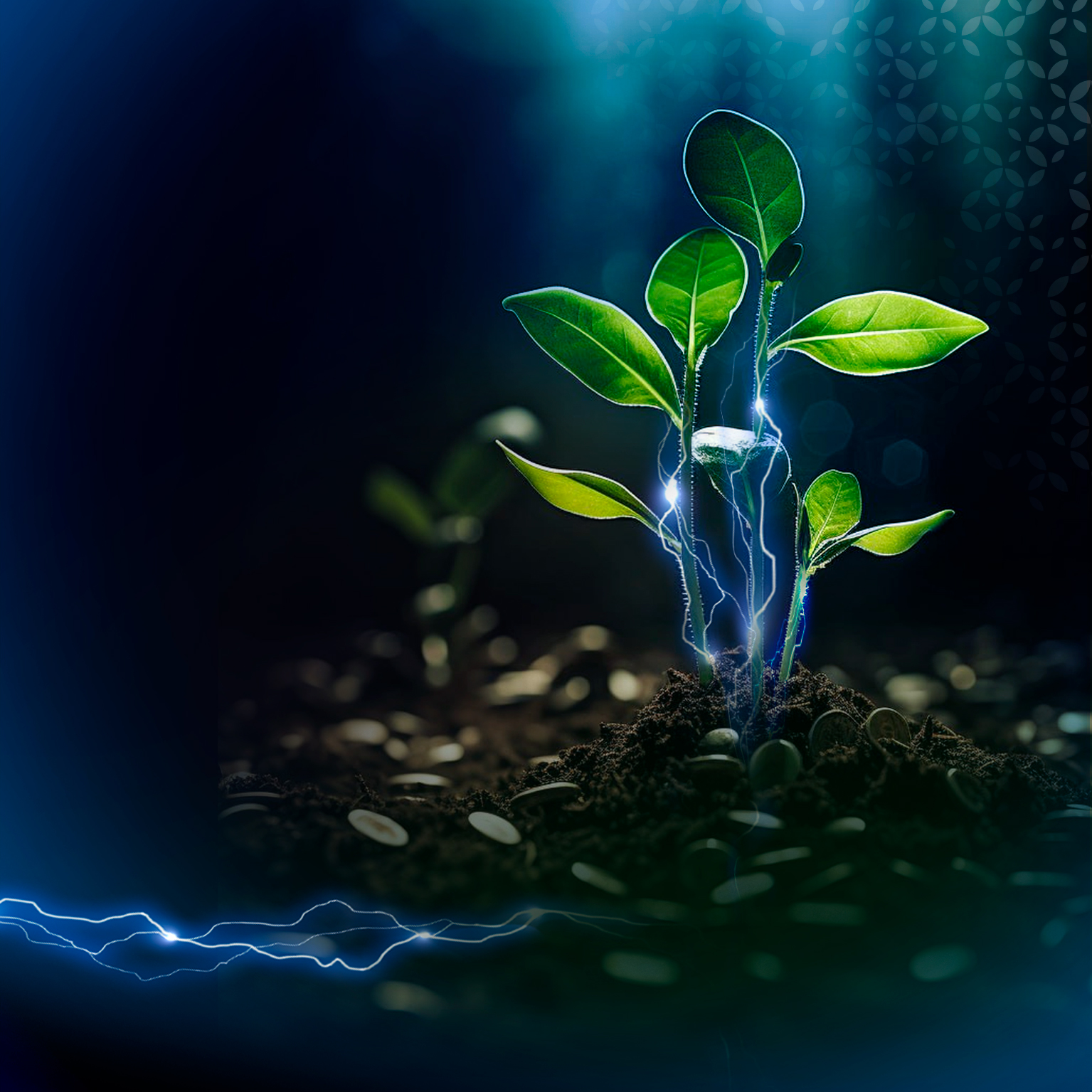 POWERFOL FitoFarm - an indispensable component of nutrition systems in ...