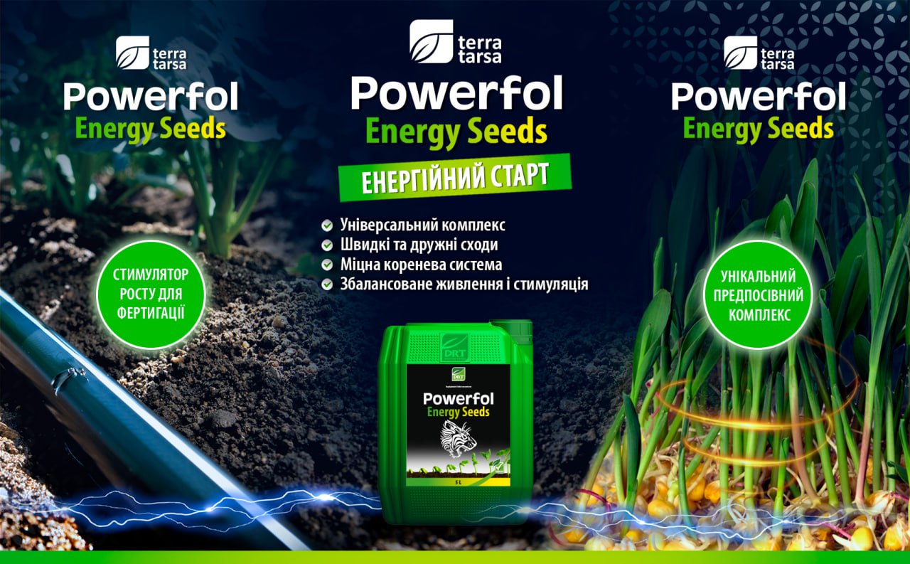 Powerfol Energy Seeds – енергійний старт!