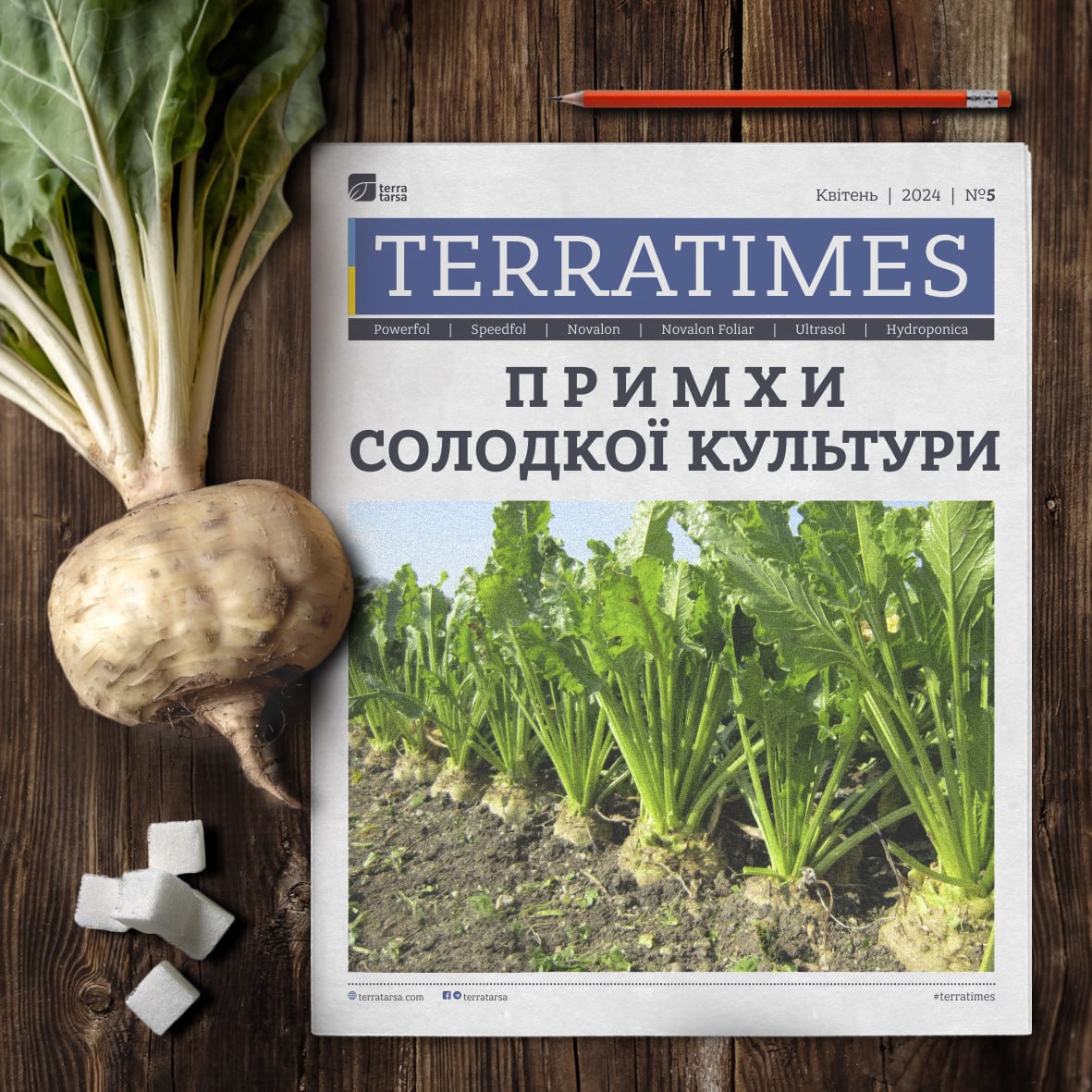 Quirks of sweet culture!