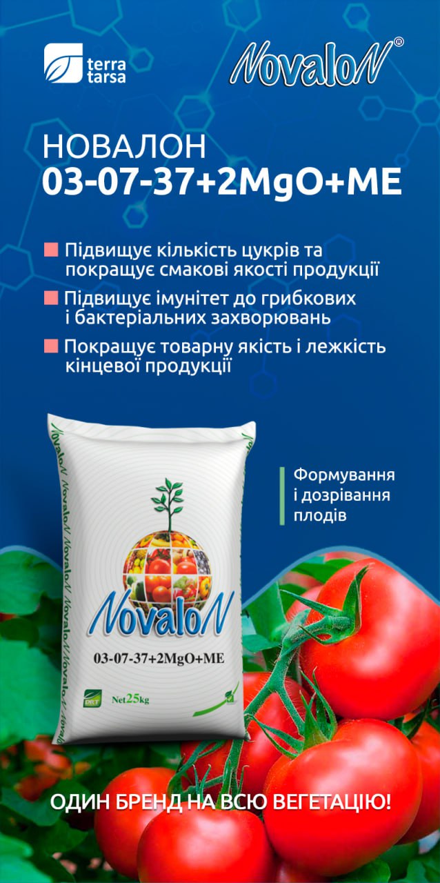 NOVALON - a comprehensive approach with attention to details!